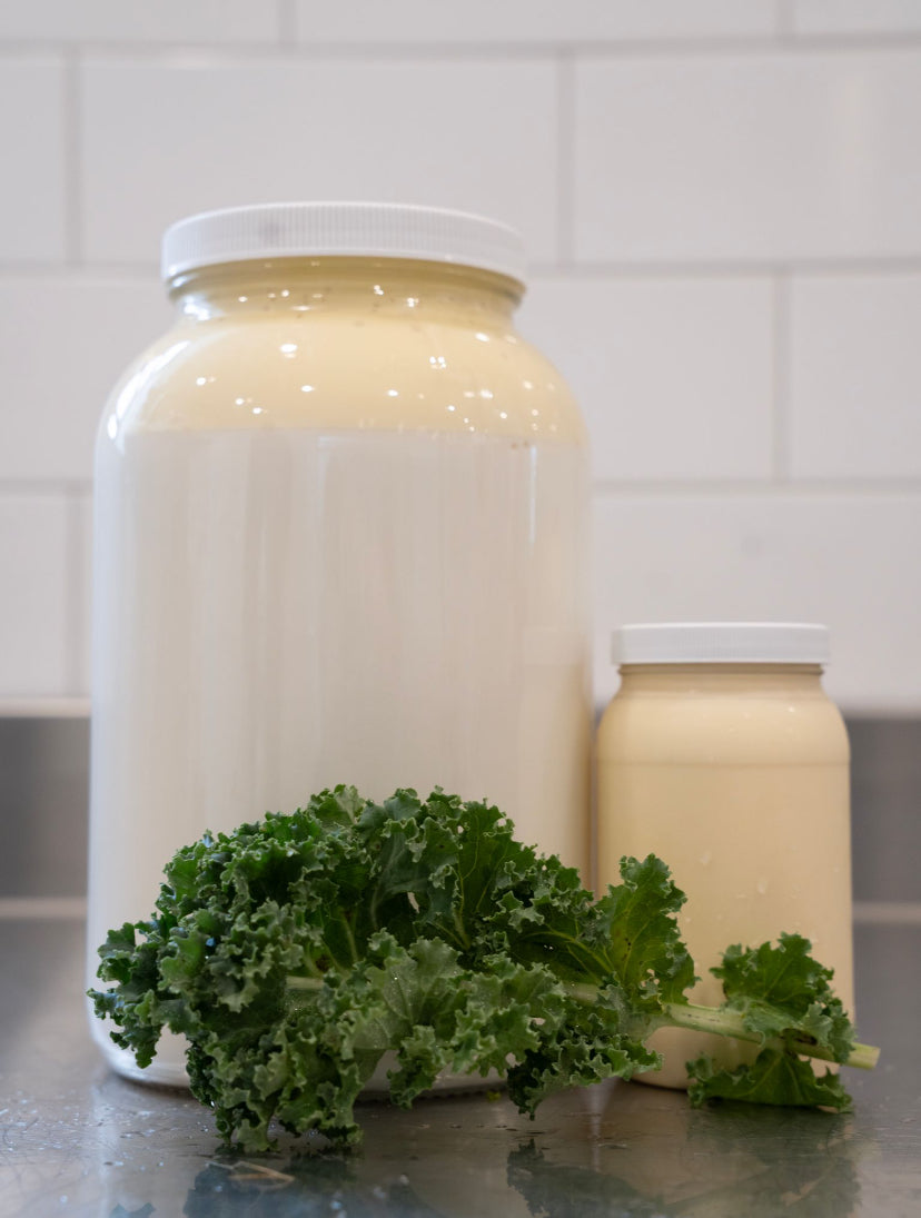 1 gallon Raw Milk – Family Farm Delivery - Greens of Life Family Farm